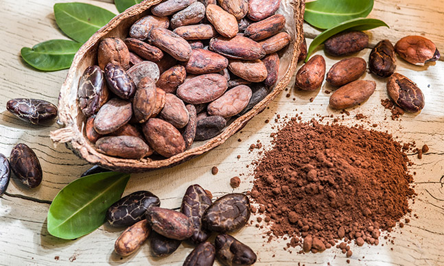 Cacau: conheça as suas propriedades nutricionais