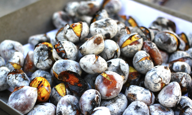 Castanhas: as vantagens nutricionais