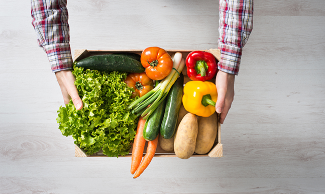 De onde vêm os alimentos que eu como?